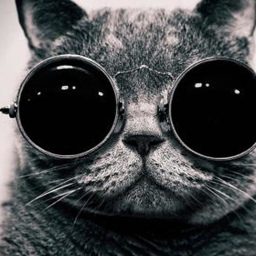 Stream I'm A Real Cool Cat. by V. Patent. by Barbara Fleet | Listen ...
