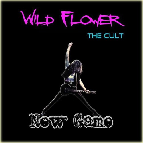 Stream The Cult - Wild Flower (New Game cover) by New Game. | Listen ...