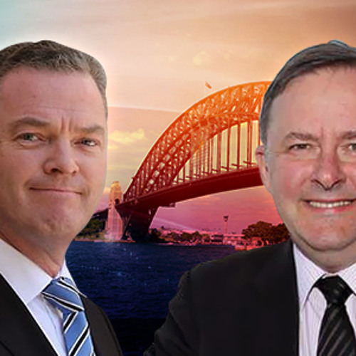 Stream Christopher Pyne and Anthony Albanese talk State of Origin by ...