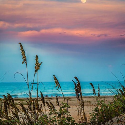 Stream SUMMERTIME IN TEXAS BY TODD DORAN by Todd Doran | Listen online ...