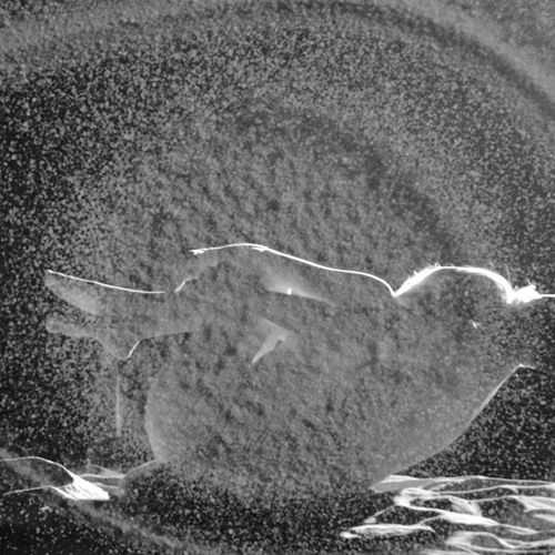 Stream FINAL Eva Colmers by No Problem Productions | Listen online for ...