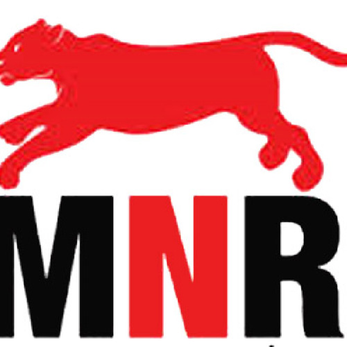 Stream MNR Radio tracks - MNR demanda fizcalizacion a partidos (made ...
