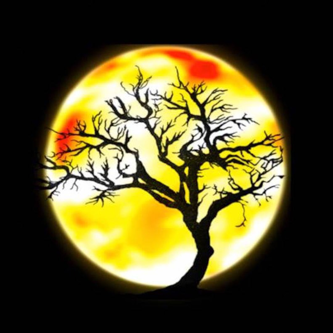 Stream A Peculiar Tree (Full Show Live With Foley) by Amy Willock ...
