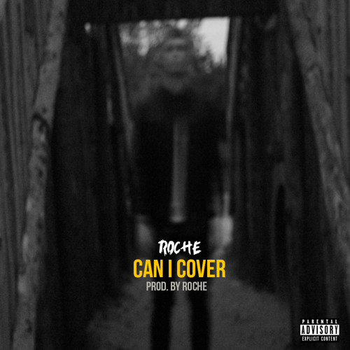 Stream Can I (Drake feat. Beyonce and Sal Houdini Cover) by ROCHE ...