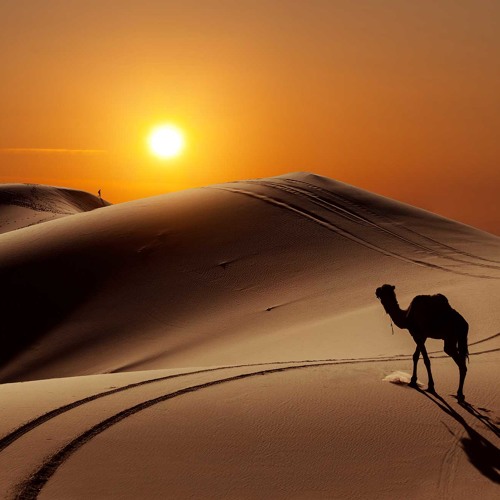 Stream Sahara (From Sahara Album) by Rami Al-Rajab Music | Listen ...