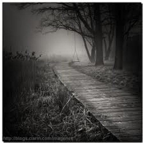 Stream Desolación de Olga Salcedo de Medina. by Leslie E Smith | Listen ...