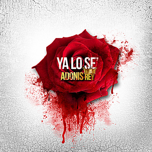 Stream Adonis Rey Ya Lo Se' by Adonis Rey | Listen online for free on ...