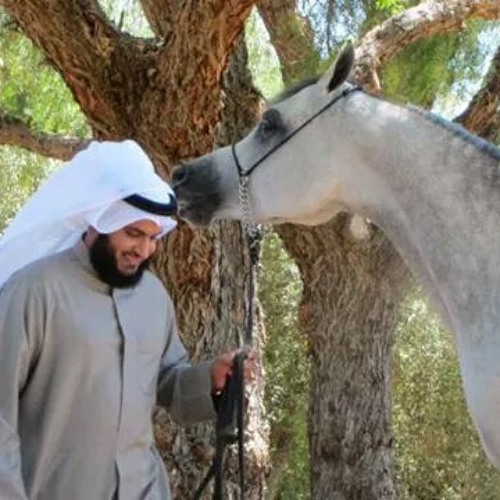 Stream Esraa Sami ʚïɞ | Listen to اناشيد و اغانى دينى ^_^ playlist ...