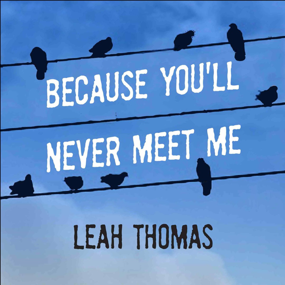Stream Because You'll Never Meet Me by Leah Thomas, Narrated by Kirby ...