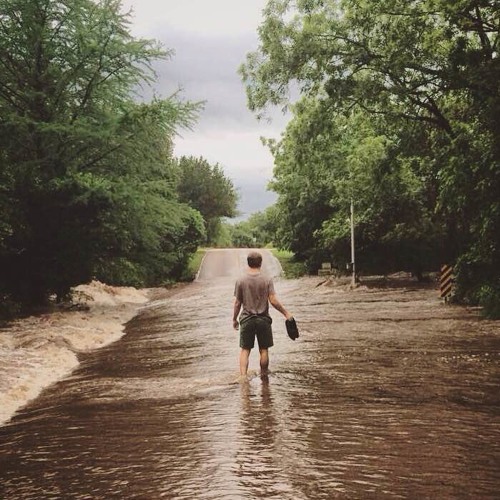 Stream black hollyhocks by Ty Tink | Listen online for free on SoundCloud