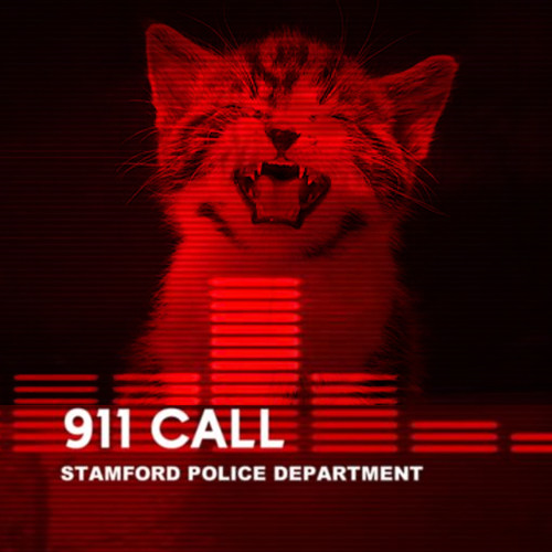 Stream Connecticut man calls 911 over his aggressive cat by ...