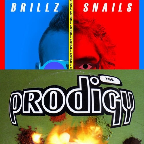 Stream Lil Boosie vs. Brillz & Snails vs. The Prodigy - Voodoo Crazy ...