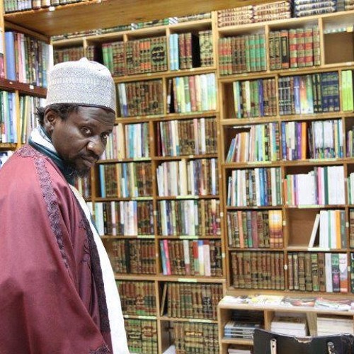 Stream Shaykh Mahey Cisse on Shia by Ibrahim Dimson | Listen online for ...
