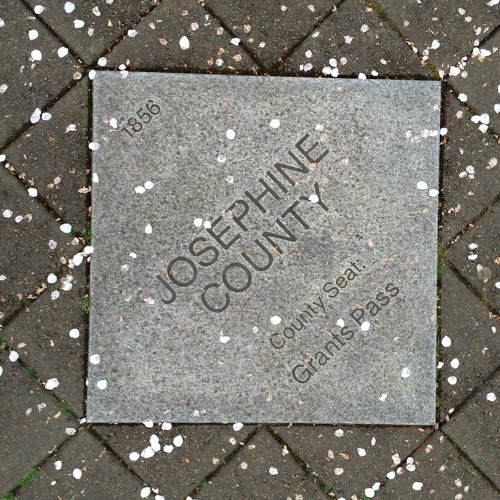 Stream Dave Toler - Continuity by Rural Organizing Project | Listen ...