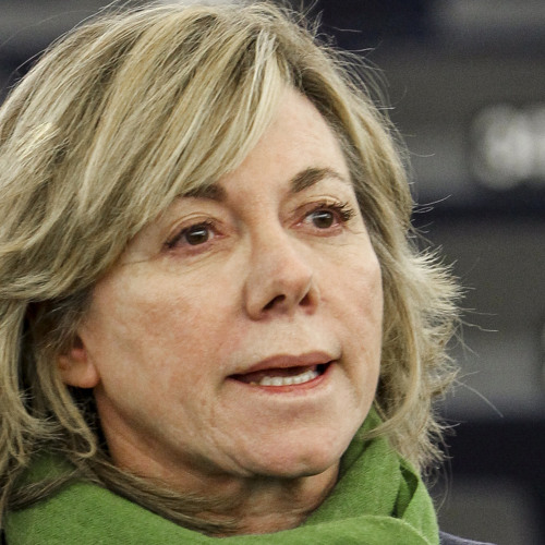 Stream MEP Pilar del Castillo being sure consumer expect end of roaming ...