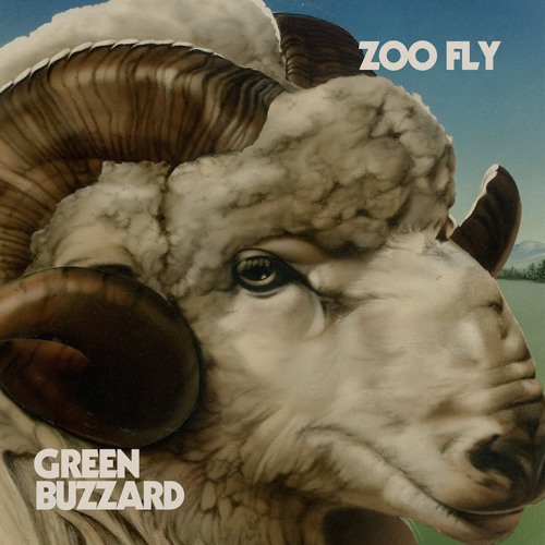 Green Buzzard - Zoo Fly | Indie Shuffle
