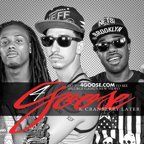Stream 4Goose And Cranberries Later (2013) by Splurge Gang | Listen ...
