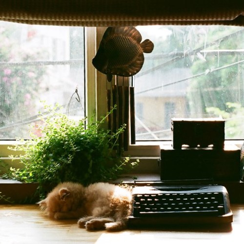 Stream Armin Furrer | Listen to relax playlist online for free on ...