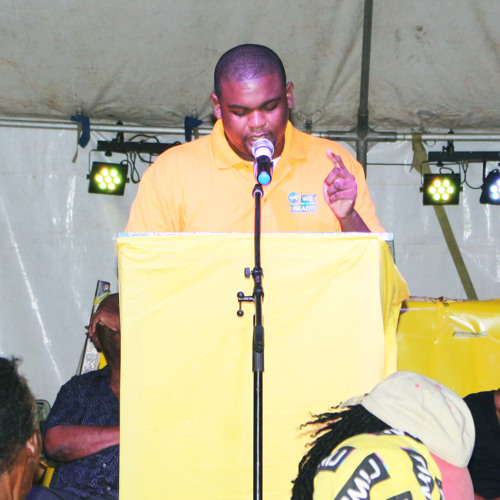 Stream Ramon Smith at NDP's Meeting in Layou 13th June 2015 by NDPsvg ...