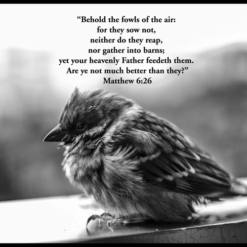 Stream Tim Teo | Listen to 20150619 Calvary Pandan Church Camp Choir ...