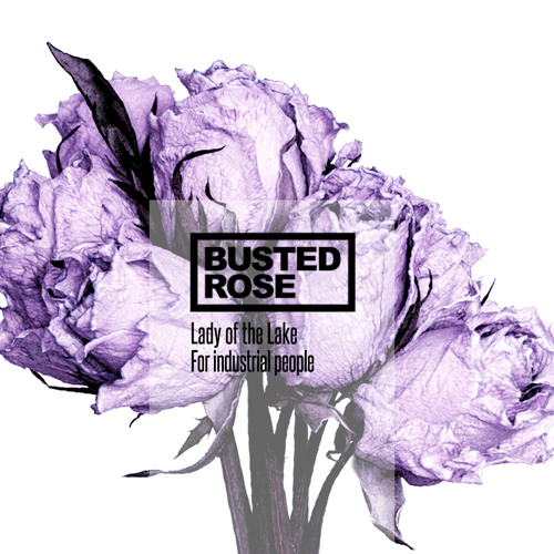 Stream 悲壮(INSTRUMENTAL) by BUSTED ROSE | Listen online for free on ...