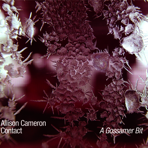 Stream Allison Cameron - Contact - Gossamer Bit (Ives Hymn)*sample* by ...