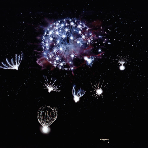 Stream Ken Wilber On Magic Vs Psychic by The Daily Evolver | Listen ...