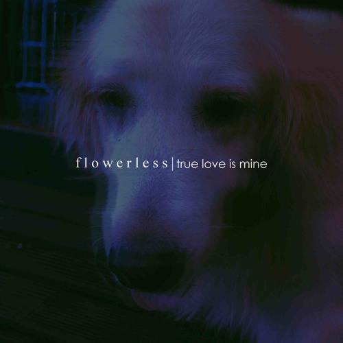 Stream Flowerless - Waterfall Waterfall by Greedy Dust | Listen online ...