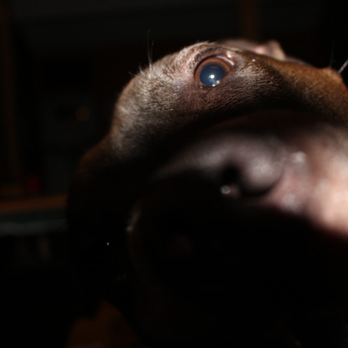 Stream TECH ITCH Mix by cease | Listen online for free on SoundCloud