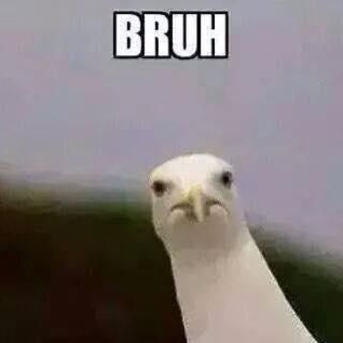 Stream Dong Lover Part 2 by Blok Tok Radio | Listen online for free on ...