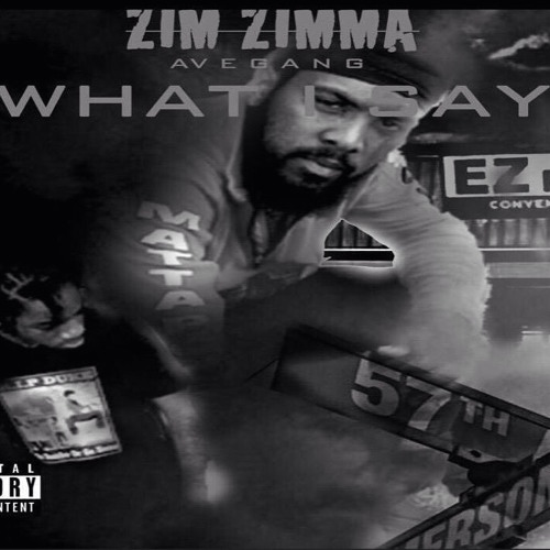 Stream Zim Zimma - What I Say by ZimZimma AG | Listen online for free ...
