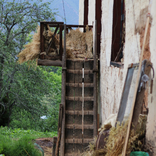 Stream Radio Documentary - Lozay by Radio Valley, Bhutan | Listen ...