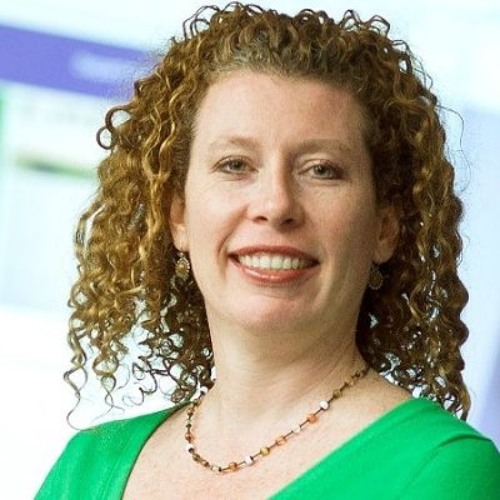 Stream Building Momentum: Advice on Academic Writing from Dr. Colleen ...
