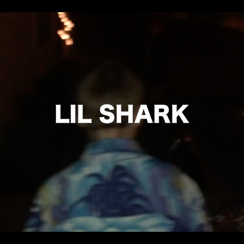 Stream Lil Shark - Swerve by bogem | Listen online for free on SoundCloud