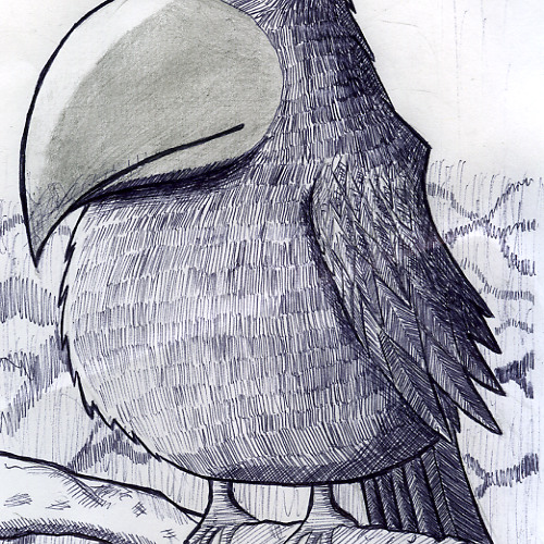 Stream Fat Crow by Luciernaga Electrica | Listen online for free on ...