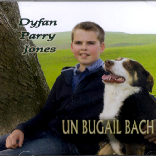 Stream Sampl 'Iesu Yw' o CD 'Y Bugail Bach - Dyfan Parry Jones' by Sain ...