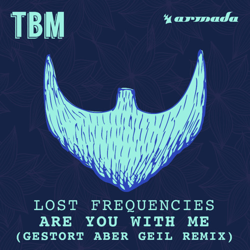 Stream Lost Frequencies - Are You With Me (Gestört aber GeiL Remix) by ...