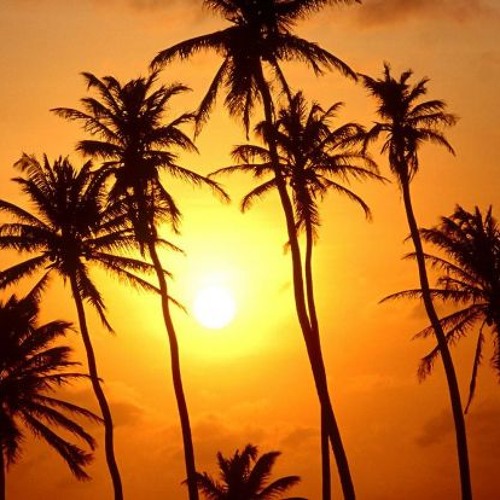 Tropically - Free music on ToneDen