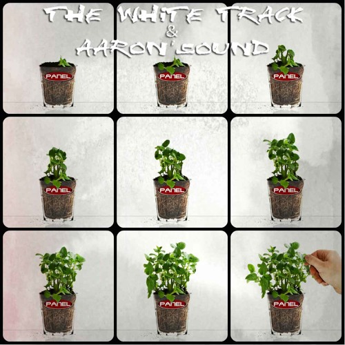 Stream The White Track & Aaron'sound - PANEL (Mix Live) by AARON'Sound ...