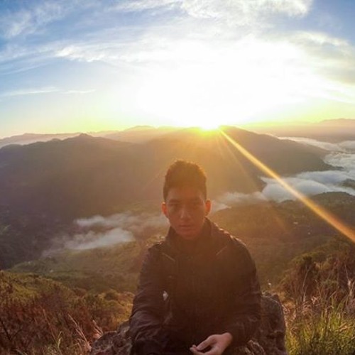 Stream Boats And Birds In D (Instrumental) by Joshua Simbillo | Listen ...