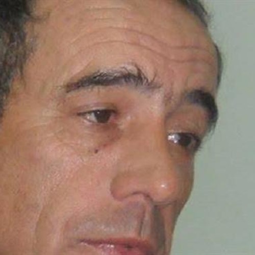 Stream Mario Rizzi-General Lamadrid by La caravana del Ascenso | Listen ...