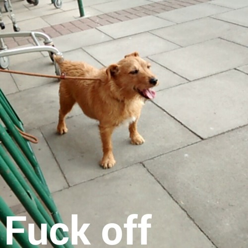 Stream MC Jonesy Vs MC Smally by Jack Tarnai | Listen online for free ...