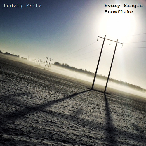 Stream Ludvig Fritz | Listen to Every Single Snowflake playlist online ...