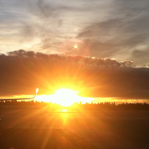 Stream E Sili Faaafe Le Oti by Sili Iuli | Listen online for free on ...