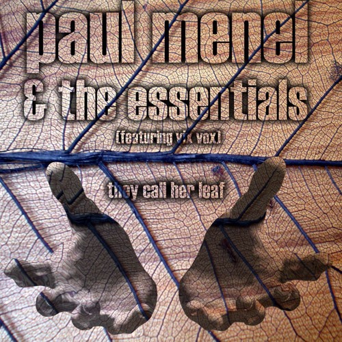 Stream Paul Menel - They Call Her Leaf by PlugginBaby | Listen online ...