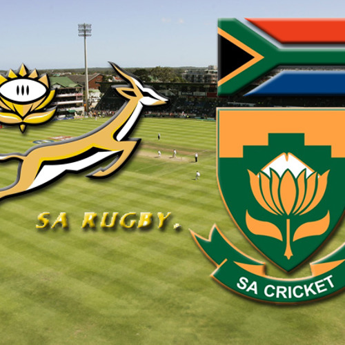 Springbok Logo Protea