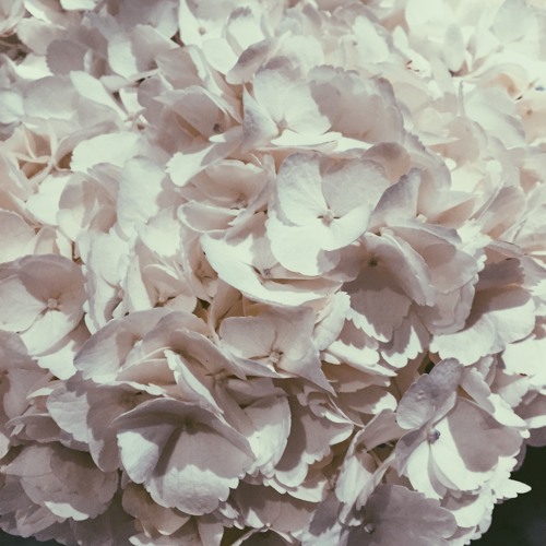 Stream Drake ~ Sweeterman (Colby Remix) by Colbyyt | Listen online for ...