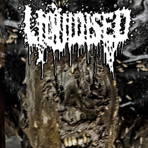 Stream LIQUIDISED - Collecting Stomach Contents by Verminous Recordings ...