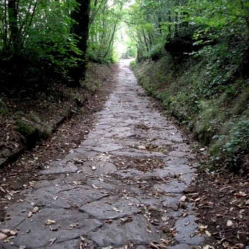 Stream sacred way by vox palace | Listen online for free on SoundCloud