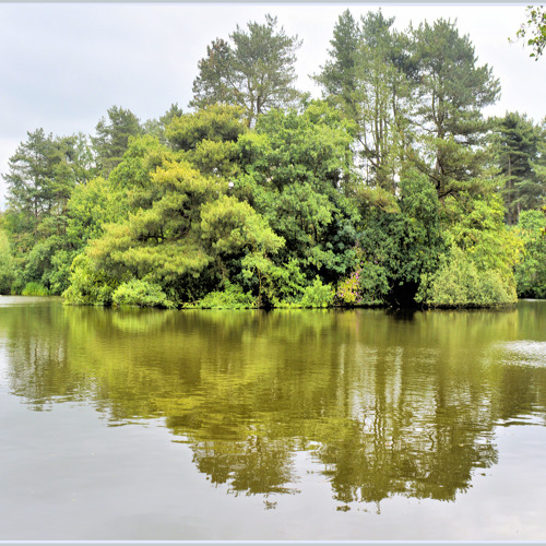 Stream Anthony Plackett | Listen to Maon Son of Ailill at Castle ...